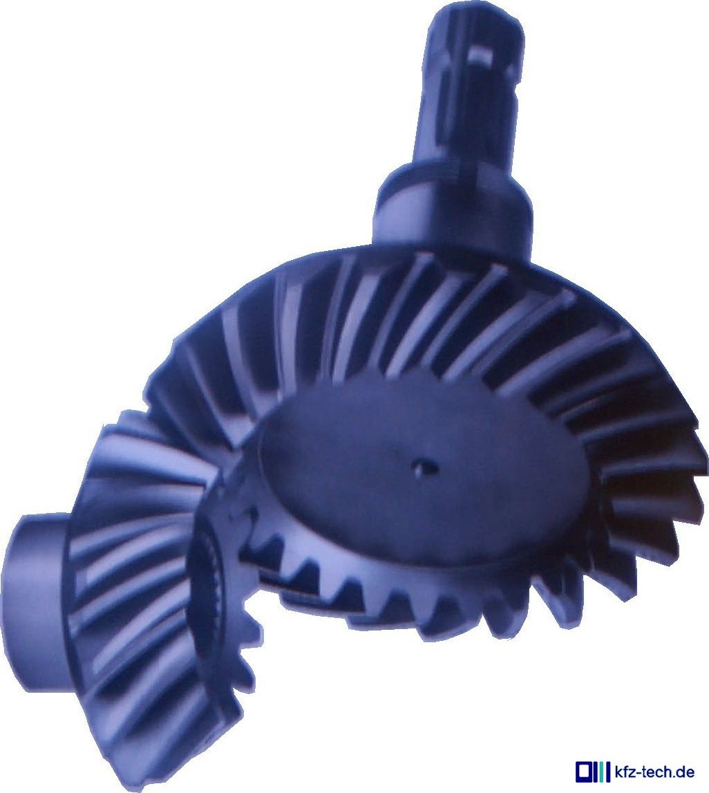 Nur eine Antwort ist richtig!