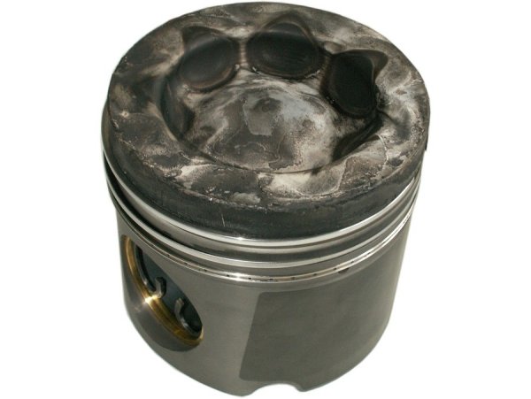 Nur eine Antwort ist richtig!